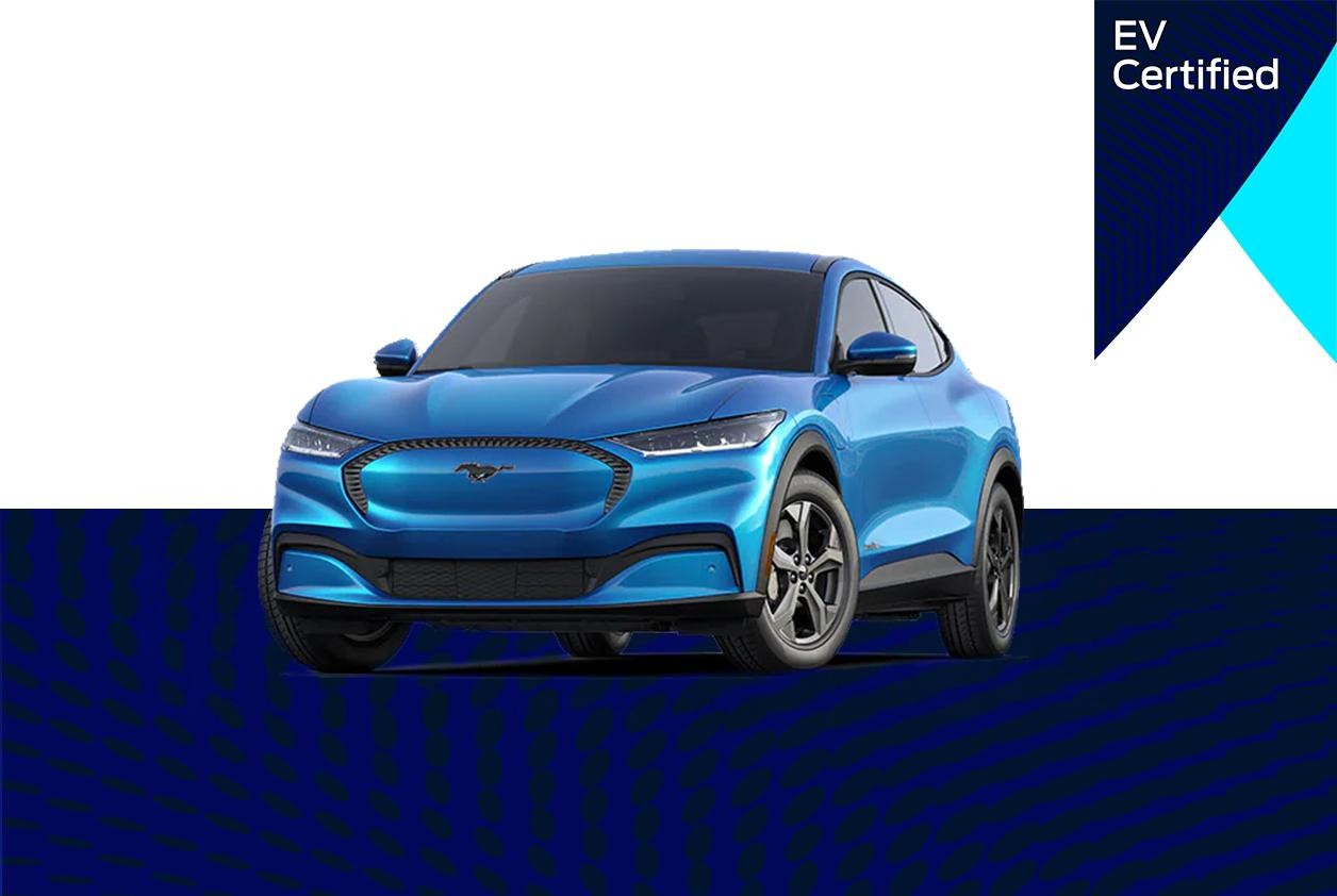 Ford Blue Advantage Overview