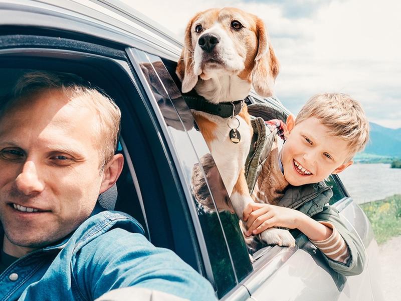 Bocker Auto Group - #1 New, Used Cars Retailer and auto repair shop in ...