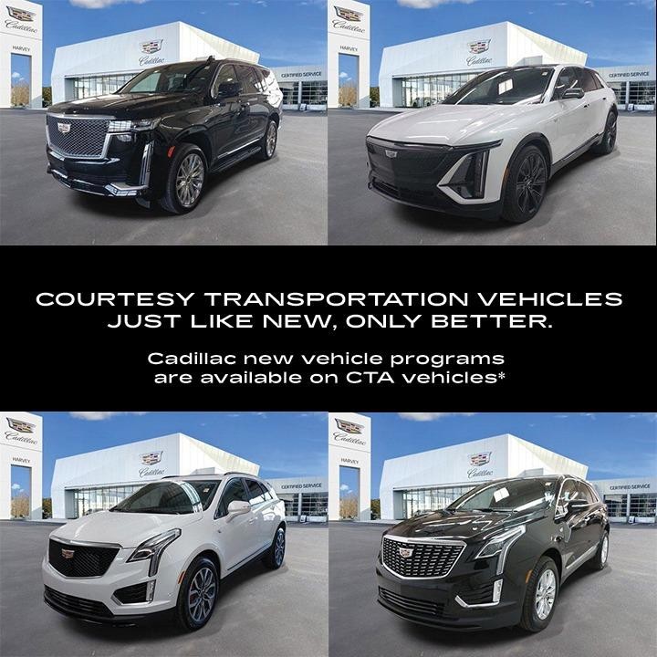 An Ada, Cascade & Rockford Dealer Alternative - Harvey Cadillac in ...
