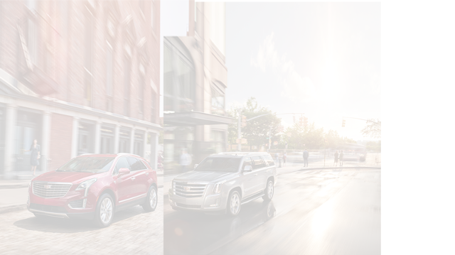 Williamson Cadillac Miami - Your #1 South Florida New and Used Cars ...