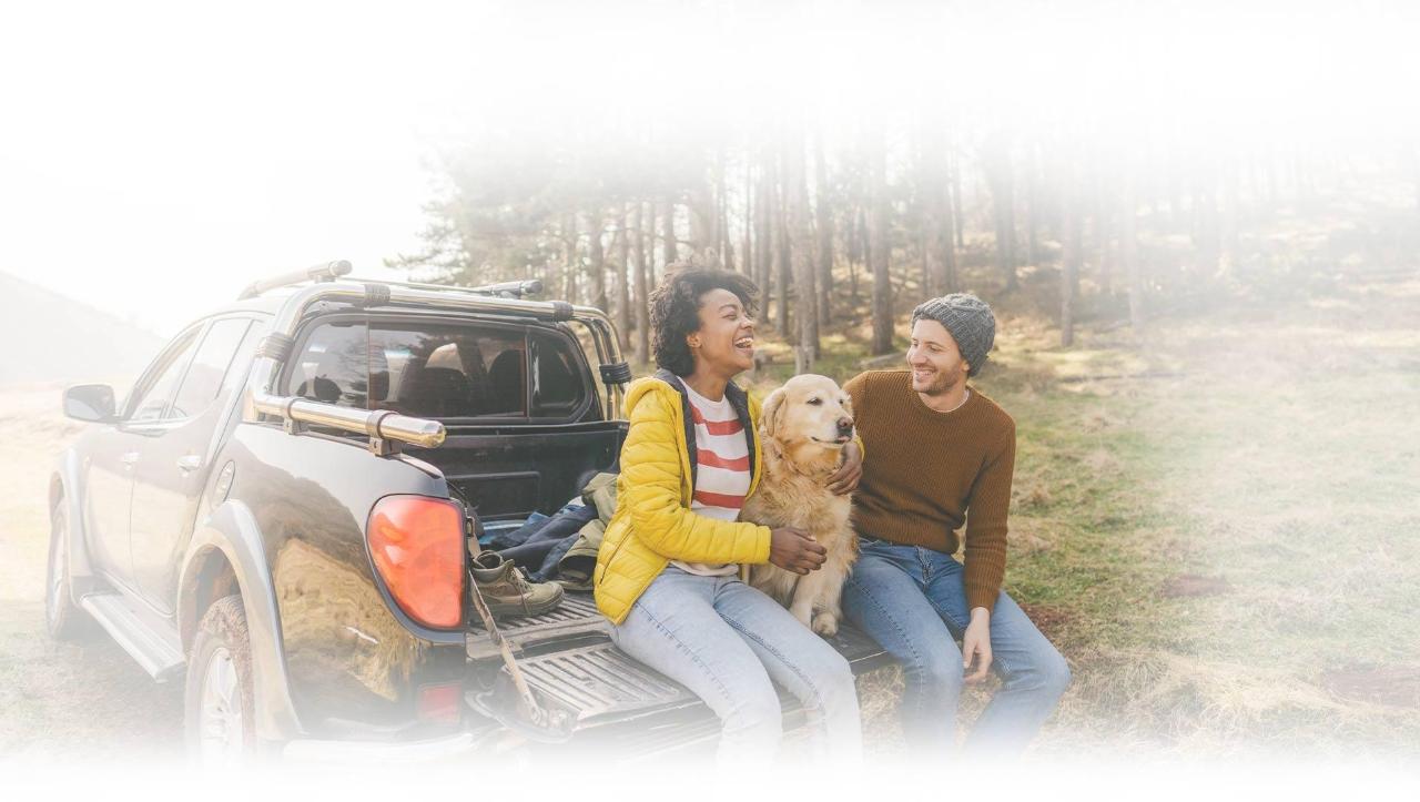 McLarty Daniel | New and Used Ford, GMC, and Chevrolet Dealership in ...